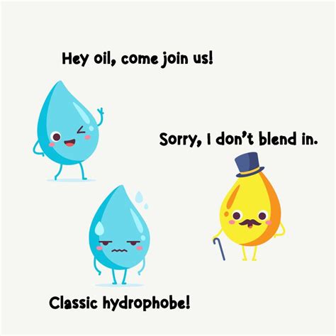 Hydrophilic Iol Vs Hydrophobic Iol Its All About Trade Offs