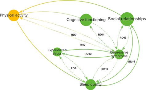 A Cluster Of Long And Nested Feedback Loops In The Causal Loop Diagram