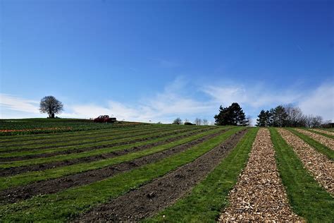 Weg Strasse Pfad Kostenloses Foto Auf Pixabay Pixabay