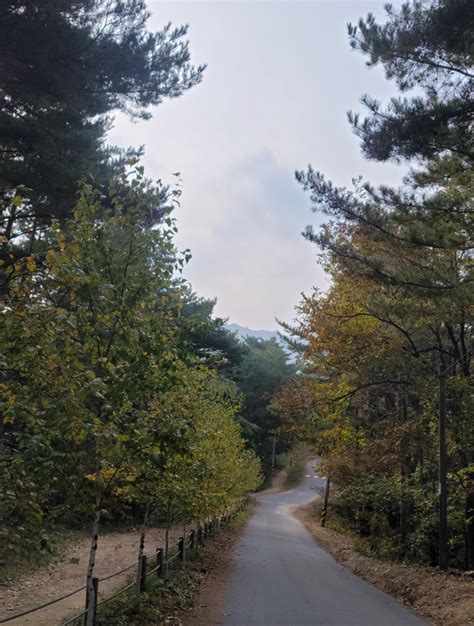 2023년 10월23일 월요일 출석부 출석부 필포토 Feelphoto