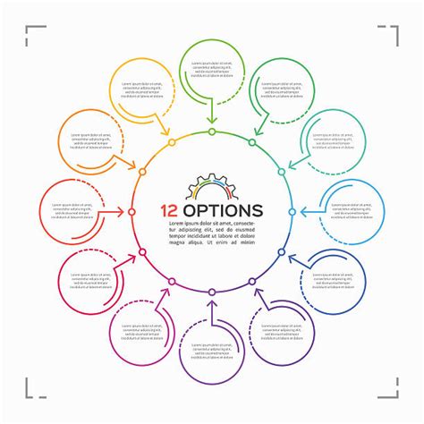 12 Step Circle Infographic Illustrations Royalty Free Vector Graphics