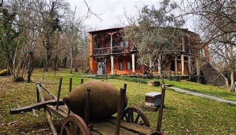 სკები ქათმები ბოსტანი საკუთარი ხელით შექმნილი მარანი გაიცანით ოტია იოსელიანის