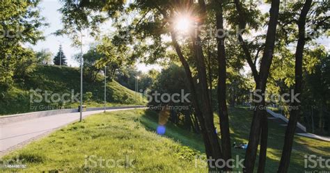 태양 광선이 공원의 녹색 단풍을 관통합니다 잔디가 있는 녹색 잔디밭 봄 여름 산책하기 좋은 골목 사람들은 잔디밭에서 쉬고 있습니다 0명에 대한 스톡 사진 및 기타 이미지