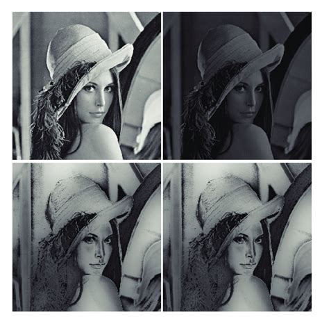 Illumination Invariant Features Iif First Row Input Images With Download Scientific Diagram