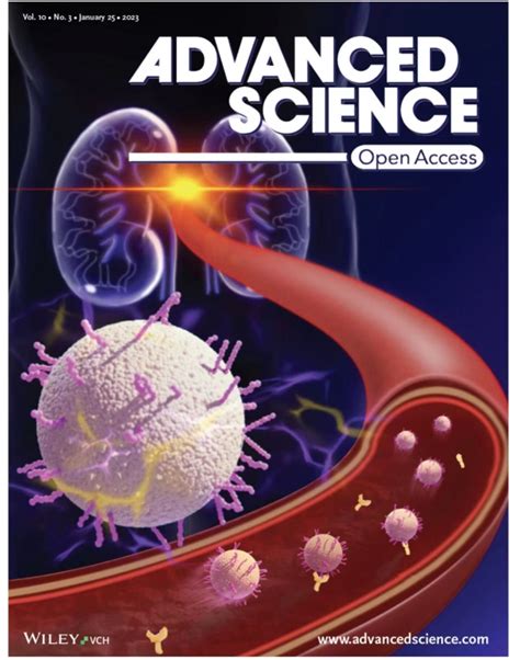 南开团队实现靶向内皮细胞治疗急性肾损伤 南开要闻 南开大学