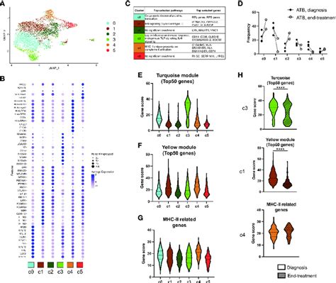 Multiple Subsets Of Intermediate Cd14 Cd16 Monocytes Are