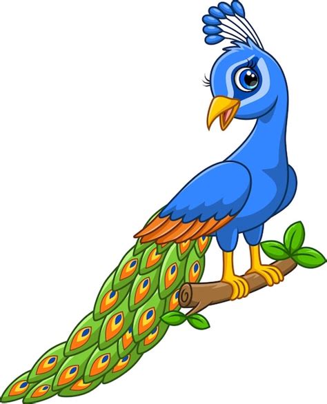 Premium Vector Beautiful Peacock Cartoon On White Background