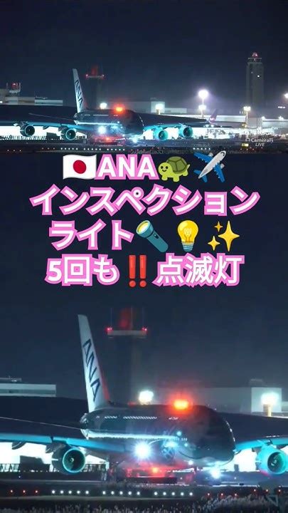 🇯🇵ana🐢 ️ パイロット👨‍ ️様 有難う御座いました🙇‍♂️🥹‪ Shorts Youtube