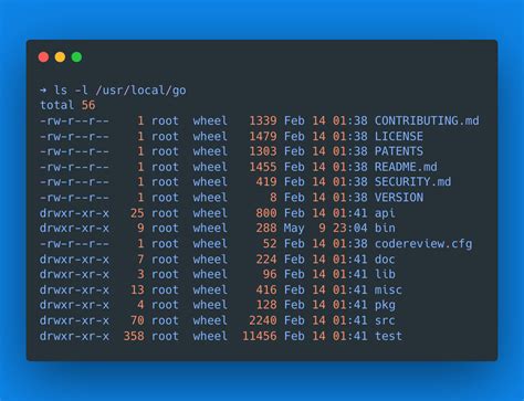 Mac Vs Code 安装 Go 相关的插件（扩展）报错 “permission Denied” Happy Hacking