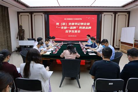 三附院召开党（总）支书记例会暨“一支部一品牌”党建品牌互学互鉴会 河南中医药大学