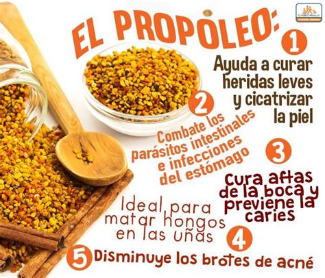 15 Propiedades Del Propóleo Para La Salud Jqmclv