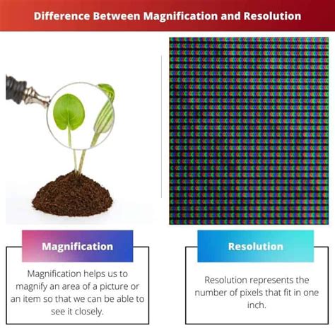 Magnification Vs Resolution Difference And Comparison
