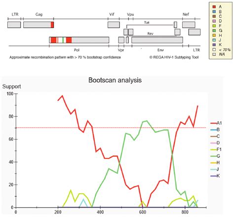 Analysis Of Recombination Of The Sample 1170 Pol Gene Sequence Using Download Scientific