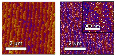 Watching Nanoparticle Chemistry And Structure Evolve