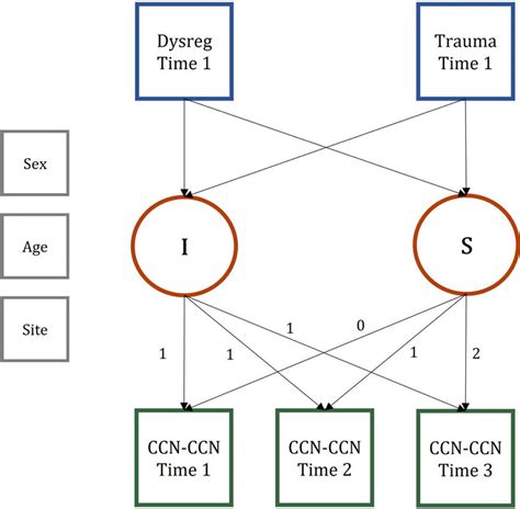 Example Latent Growth Curve Model Of Cognitive Control Connectivity I Download Scientific