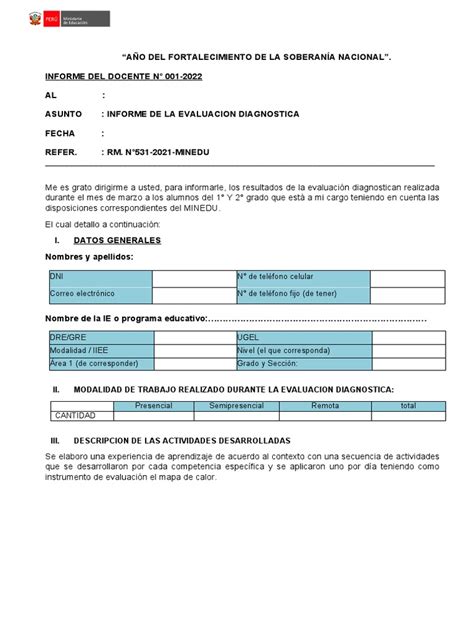 Informe De La Evaluacion Diagnostica Pdf Evaluación Aprendizaje