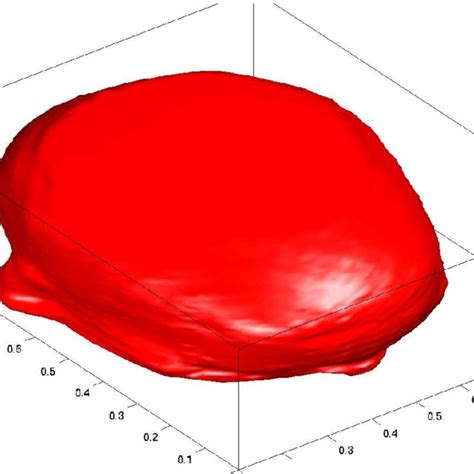 Thin Plate Spline Approximation To Skull When The Finite Element Grid Download Scientific