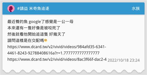 請益 米奇魚追逐 水族板 Dcard