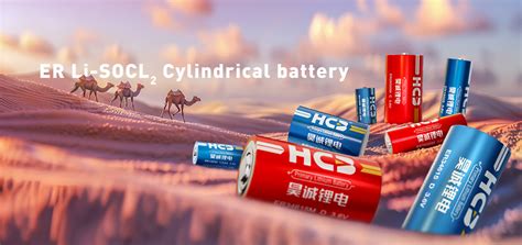 Hcb Industrial Customized Battery Pack Primary Lithium Battery Iot Li Socl₂ Li Mno2 Battery Oem