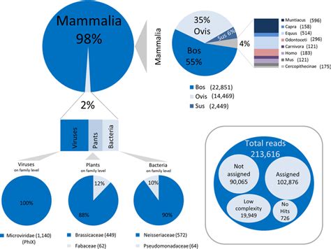 Metagenomic Analysis Of Unmapped Reads Results Of The Metagenomic Download Scientific Diagram