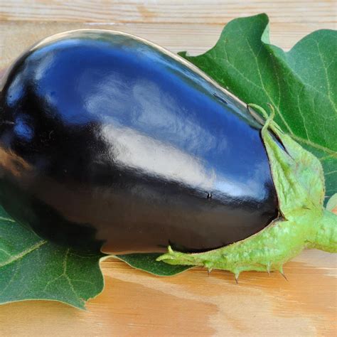 Organic Black Beauty Eggplant Solanum Melongena Annies Heirloom Seeds