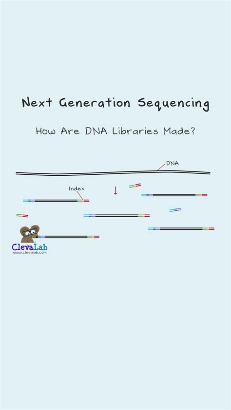 Ngs Sequencing Artofit
