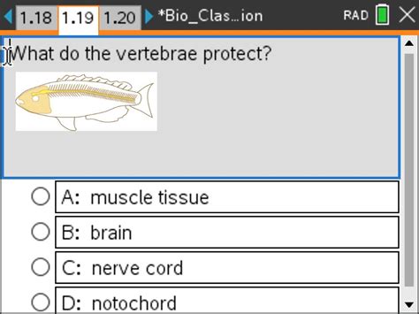 Classification Assessment