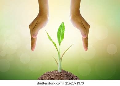 434 Protect Soil Biodiversity Images Stock Photos Vectors Shutterstock