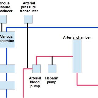 Schematic View Of EBC Download Scientific Diagram