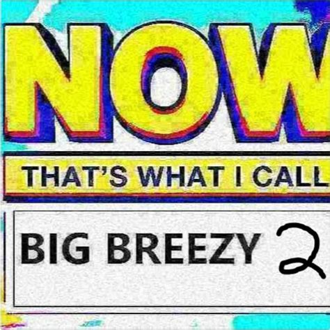 Stream Bigbreezyandthekool Listen To Now Thats What I Call Big Breezy