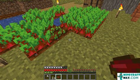 How To Make Beet Soup In Minecraft Minecraft Max Com How To Make Beet Soup In Minecraft Minecraft Max Com