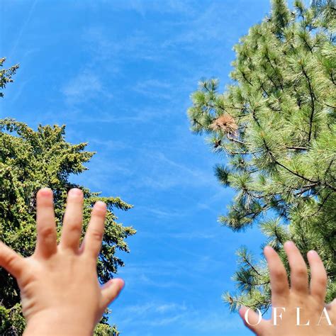 Ofla Oflaofficial • Instagram Photos And Videos