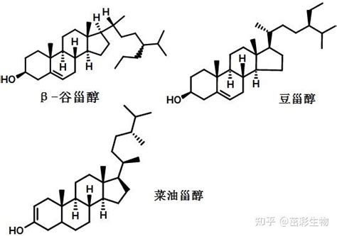 植物甾醇类检测 茁彩生物 知乎