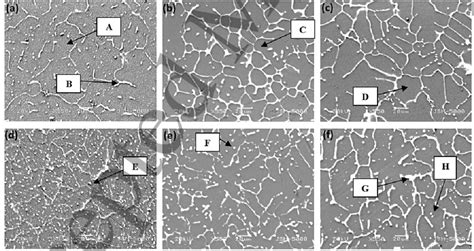 Optical Micrographs Of The As Cast Alloys At 200 X A Mg 07ni B
