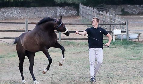 Palio Di Siena Primo Atto Roberta Chellini