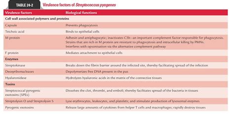 Streptococcus First Part