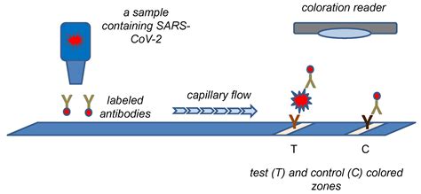 Sensors Free Full Text Progress In Biosensors For The Point Of Care