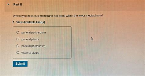 Which Type Of Serous Membrane Is Located Studyx