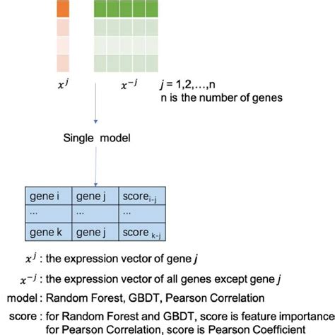 Feature Matrix Of Gene Pairs Its An Example Of Feature Matrix Whose