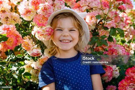 꽃 장미 정원에서 어린 유아 소녀의 초상화 귀여운 아름다운 사랑스러운 아이는 여름 화창한 날에 공원에서 장미와 꽃과 재미를 행복한 웃는 아기 공원에 대한 스톡 사진 및 기타