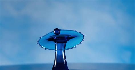 Drop Down Menu Wordpress 13 Expert Answers For Success