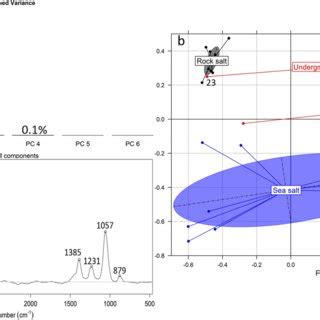 A Bar Plot Of The Explained By PCA Variance Of The Sample Set B Download Scientific