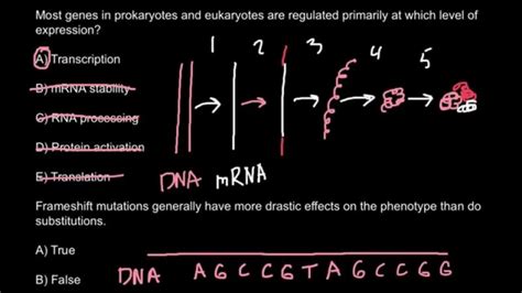 Nikolays Genetics Lessons On Linkedin Definition Of The Frameshift Mutation