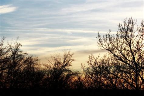 Free Images Landscape Tree Nature Grass Horizon Cloud Sun