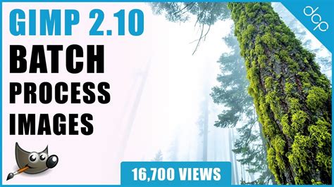 47 Gimp Tutorials Ideas Gimp Tutorial Gimp Gimp Photo Editing