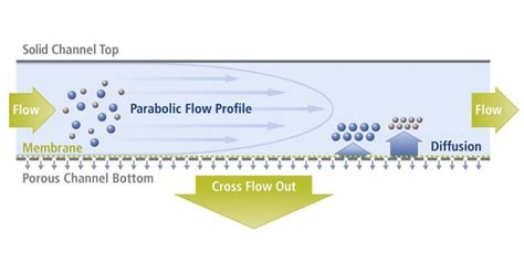 Separation Analysis Of Nano Geochemical Systems Lab Manager