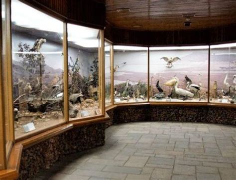 Μουσεία Φυσικής Ιστορίας στην Ελλάδα Museum Finder