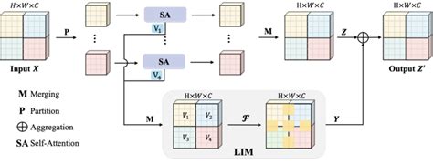 Interactive Window Based Self Attention Iwsa Besides The Proposed