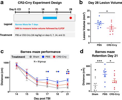 Complement Inhibition Improves Histological And Cognitive Outcomes A Download Scientific