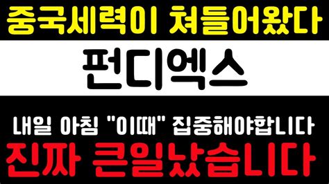 펀디엑스 ★긴급★펀디엑스펀디엑스코인전망펀디엑스코인 Youtube